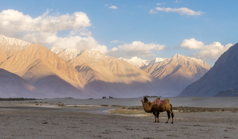 Trips - AdventureTripr