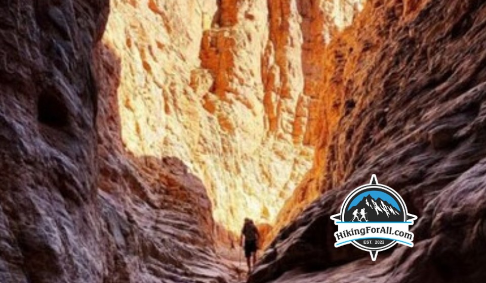 Grand Canyon Escalante Route Backpacking with Hiking for All Community ...