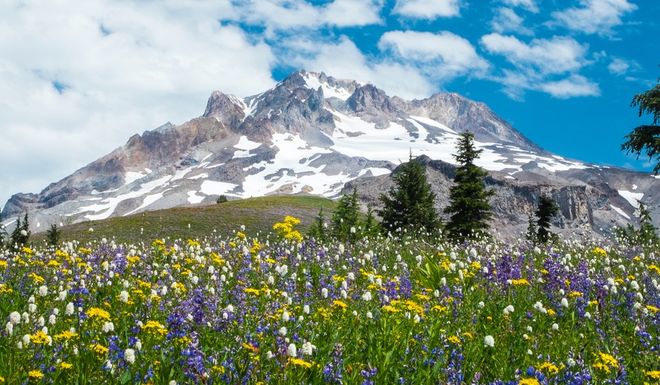 Trips - AdventureTripr